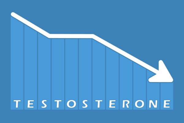 Top 5 Things That DESTROY Testosterone (And 5 Things That Boost It ...